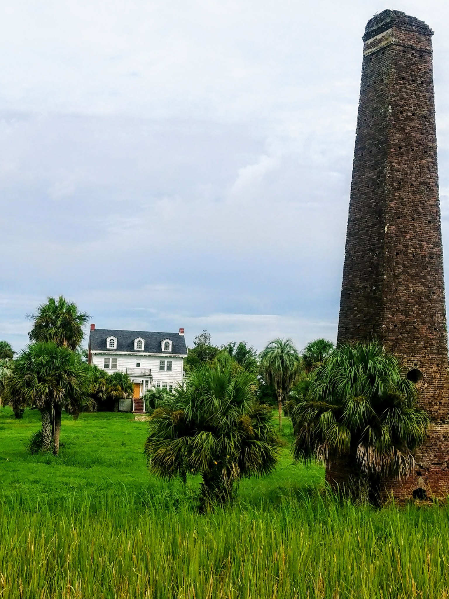 Another Mile Another Destination Blog: Butler Island Plantation, Darien ...