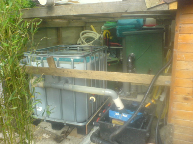 mon petit bassin de jardin: filtration: cubi filtre