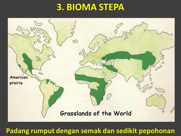 Persebaran Flora dan Fauna Dunia ~ Berbagi Ilmu