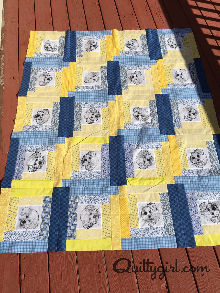 Alycia Quilts - Quiltygirl: Bichon OMG Quilt and...... Finished ( or ...