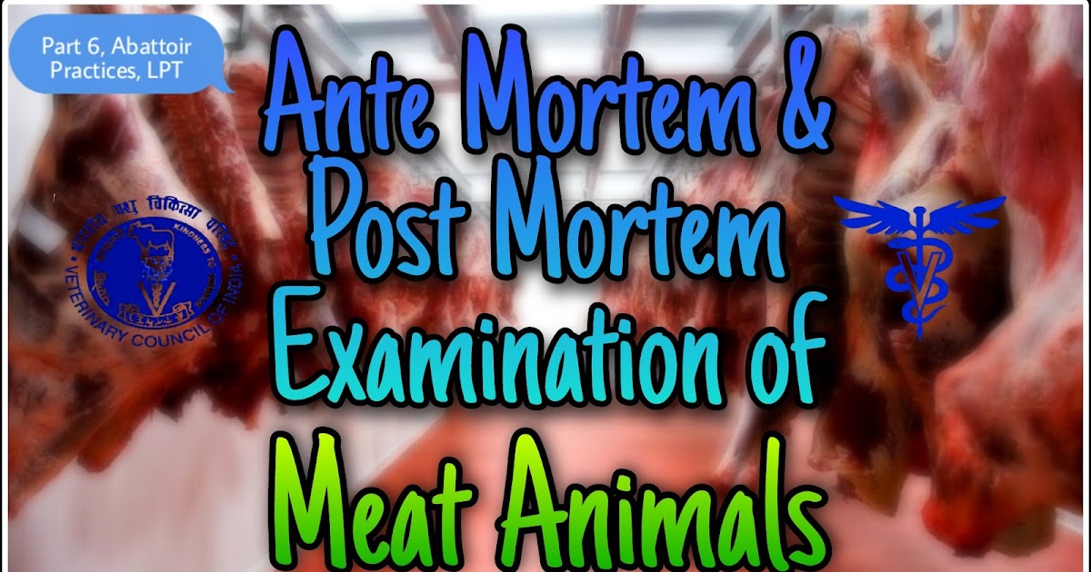 Ante Mortem and Post Mortem Examination of Meat Animals.