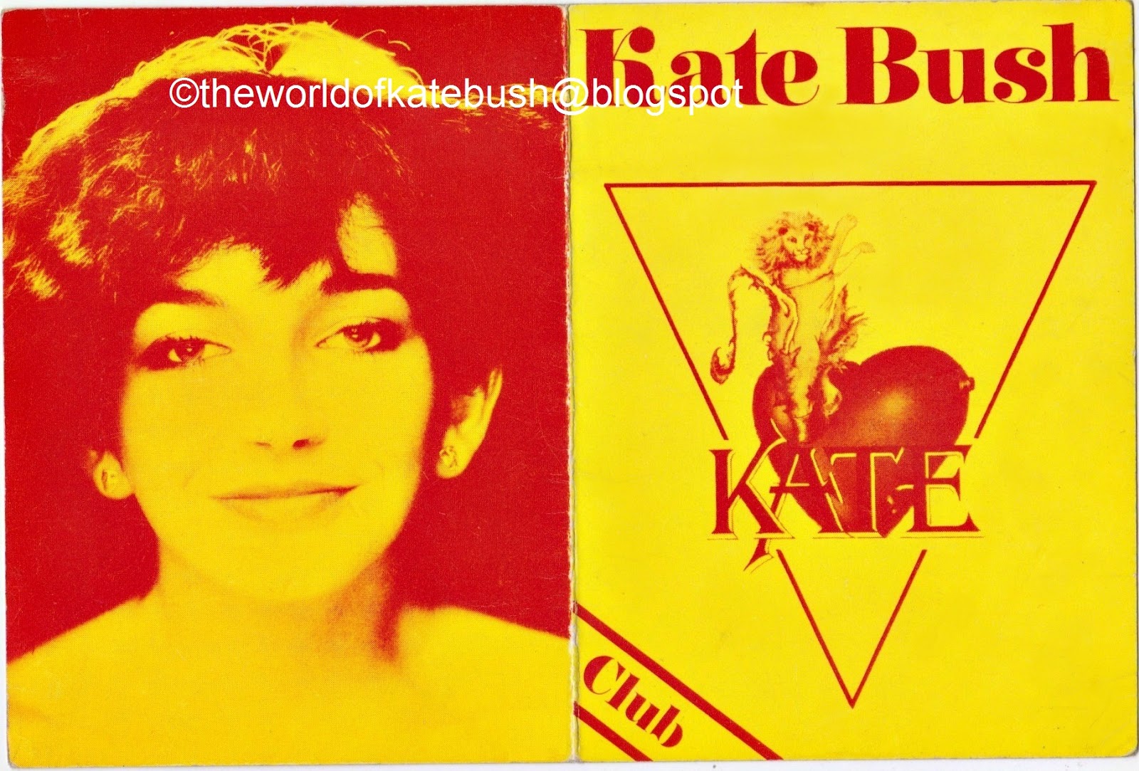 THE WORLD OF KATE BUSH: The Kate Bush Club