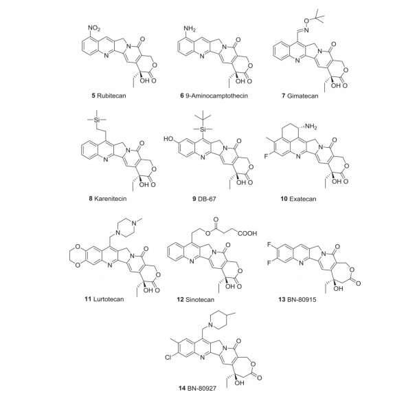 SAR ALKALOID QUINOLINE