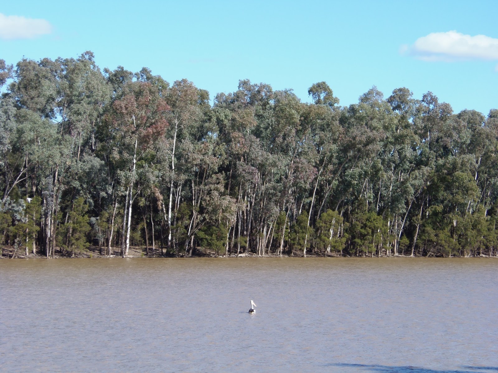Solo Steve On The Road: GLEBE WEIR at TAROOM Qld