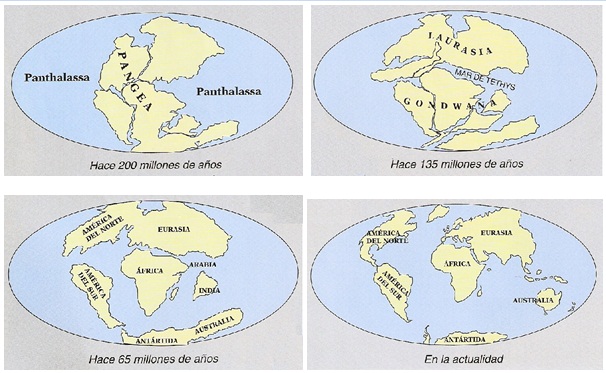 Clases de Geografía: Tectónica de Placas. Deriva Continental.