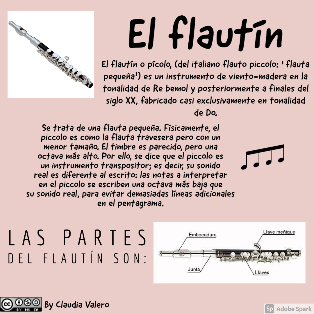 Infografía del flautín (Cultura y Práctica Digital)