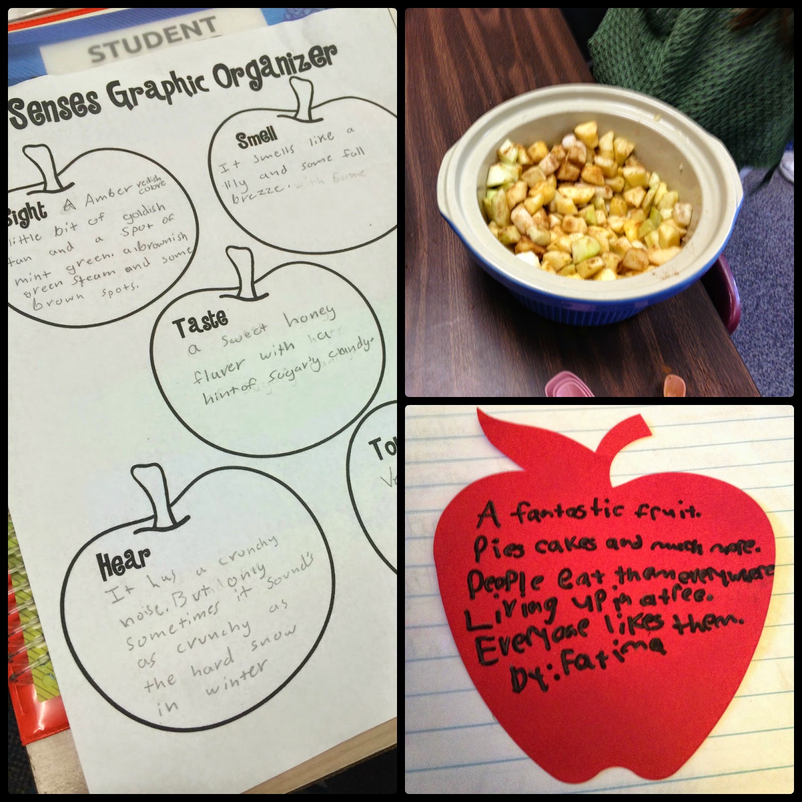 Fifth Grade Freebies: An Apple A Day...Fall Freebie!