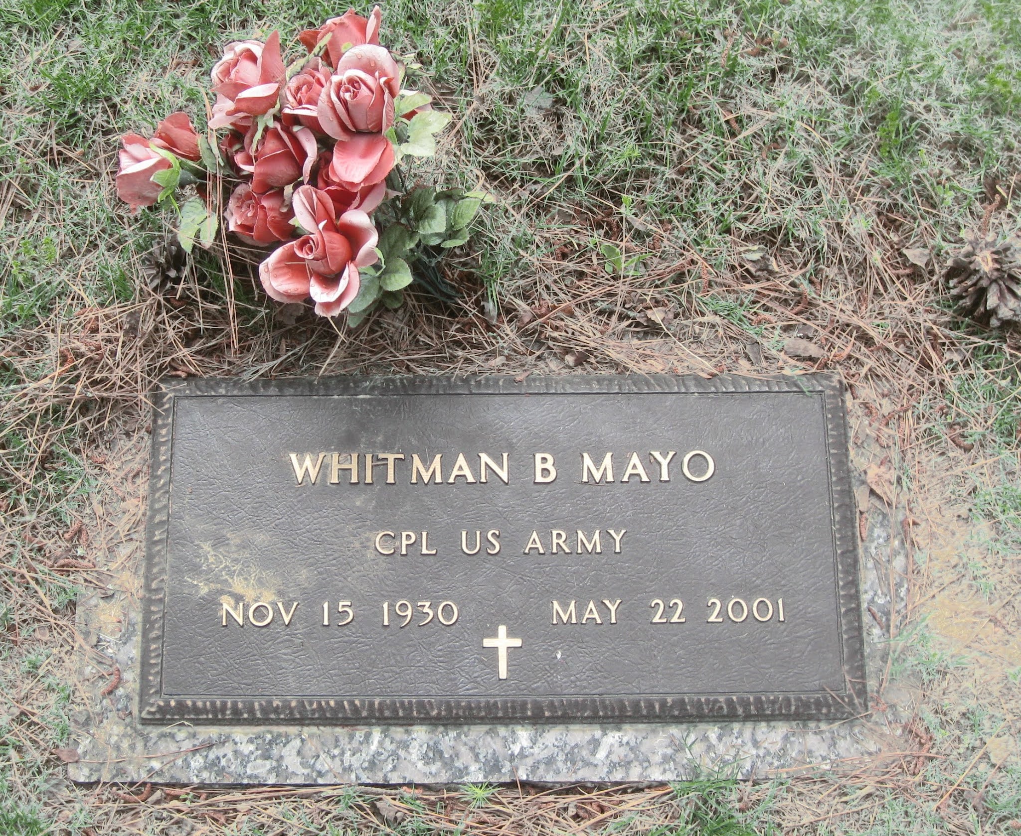 Six Feet Under Hollywood: Whitman Mayo