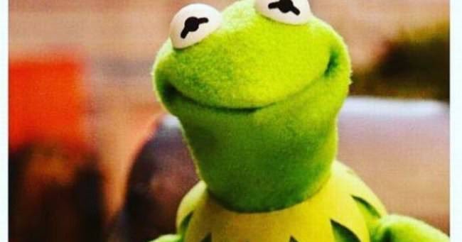 Skip's House of Chaos: Kermit Asks the REAL Questions