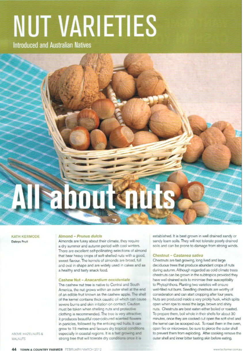 Daleys Fruit Tree Blog: Nut Varieties Introduced and Australian Natives ...