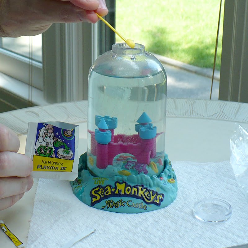 Wyrdsmiths: Sea Monkey Diary: Day 15