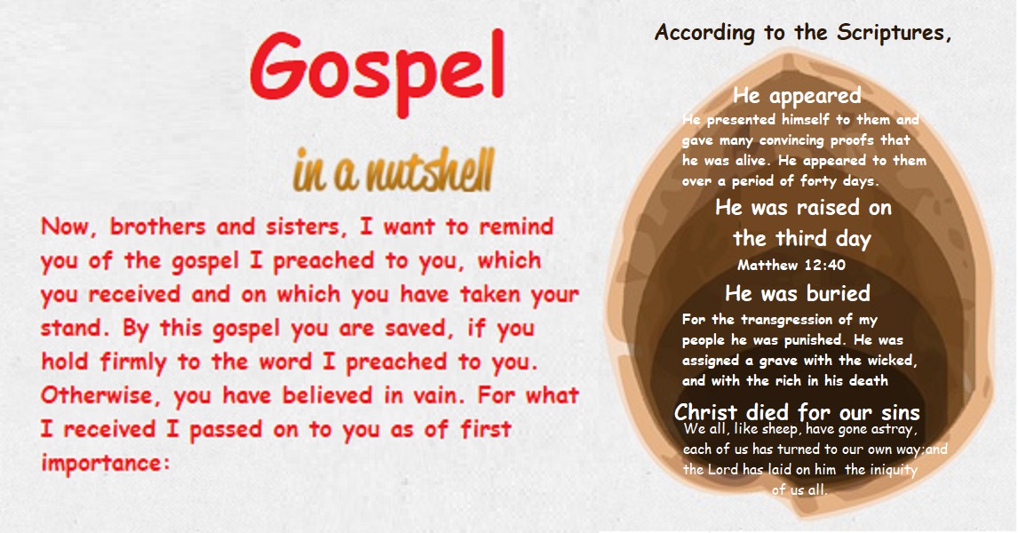 Bible Charts: The Gospel in a Nutshell