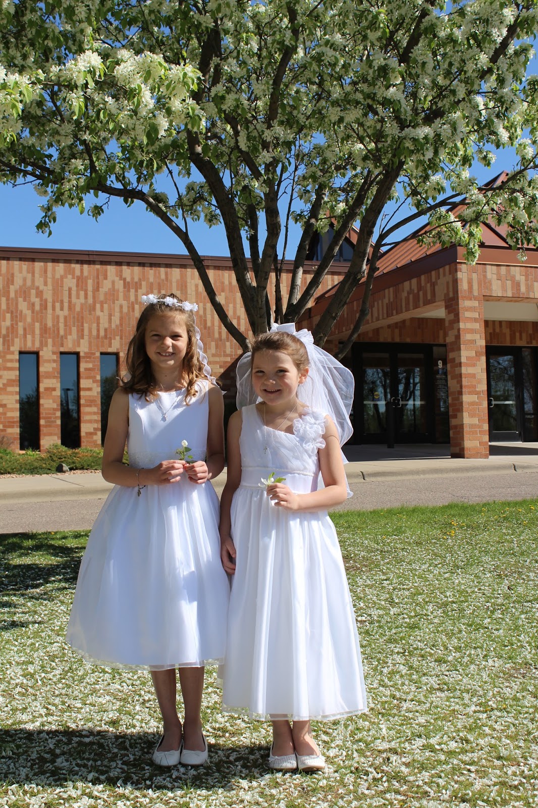 two daughters, one son: First Communion-Sidney style