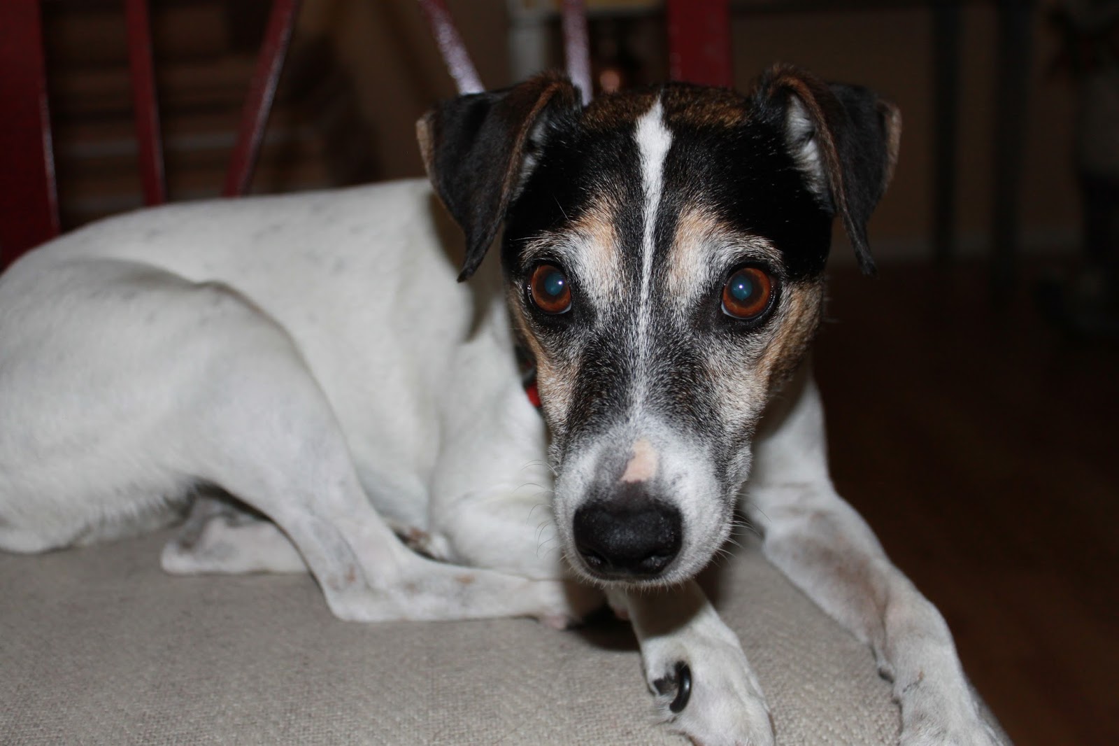 Sleep Training a Jerk Russell