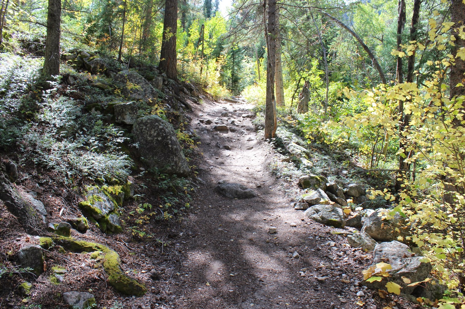 gjhikes.com: Difficult Creek