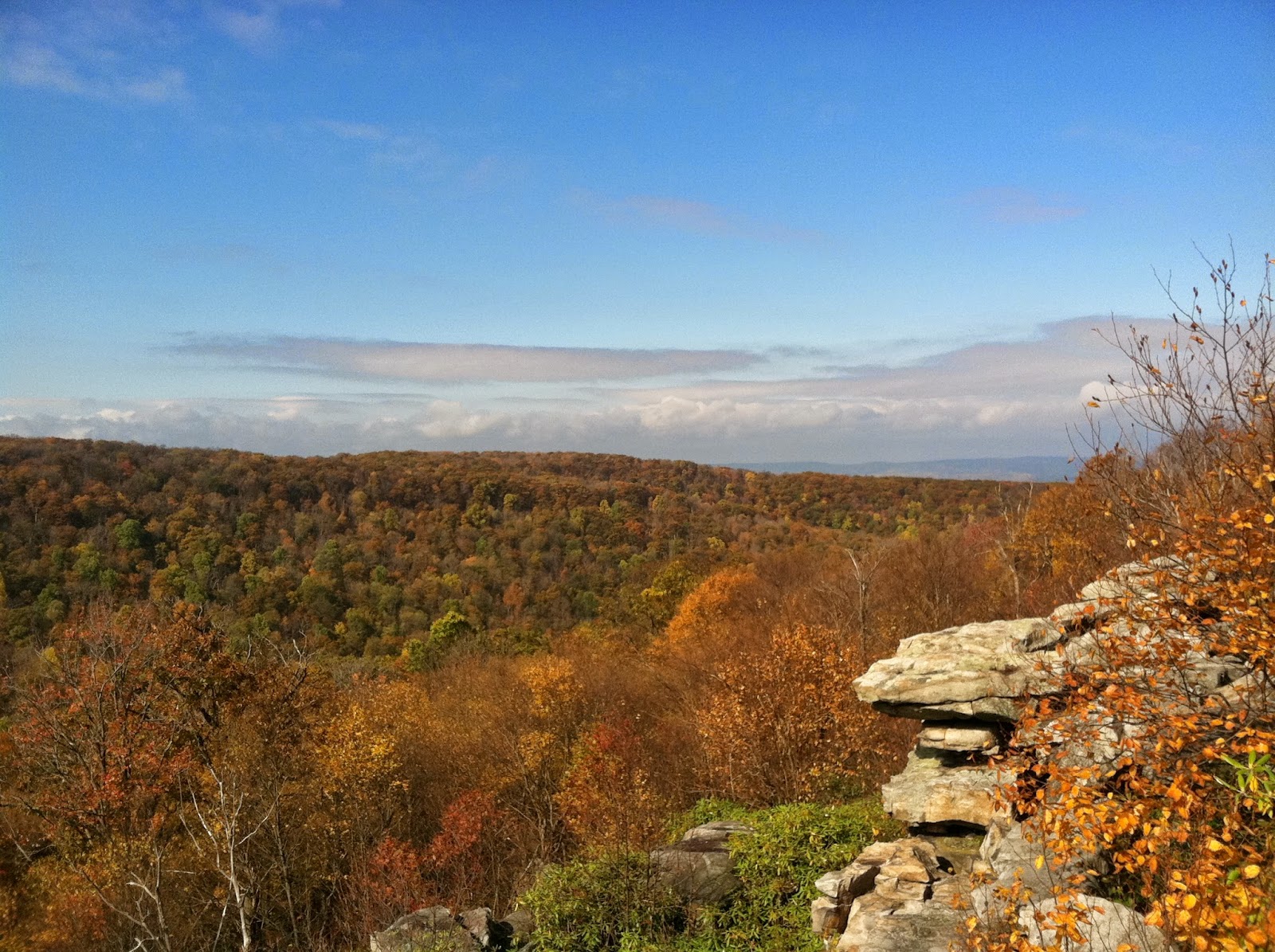 Snow and Jaggers: Forbes State Forest: Wolf Rocks Overlook