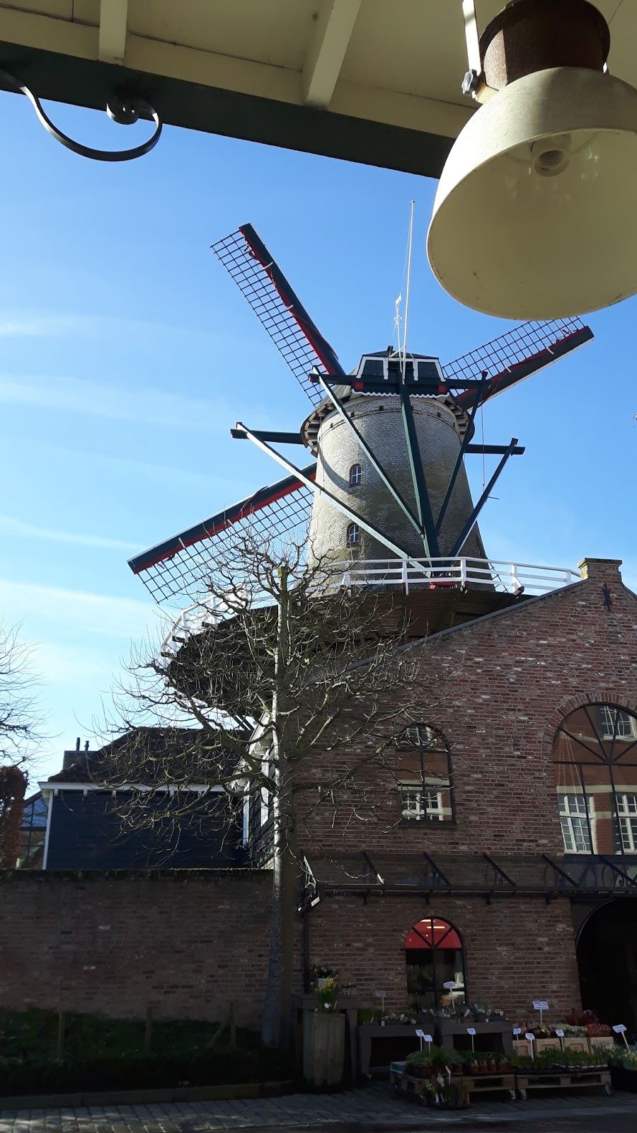 Sluis A beautiful destination in Zeelandic Flanders The Netherlands