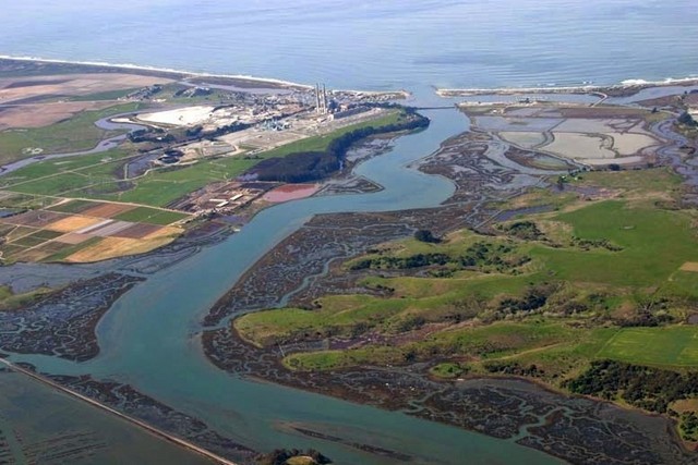 Pengertian dan Jenis Jenis EKOSISTEM AIR DAN ESTUARIA