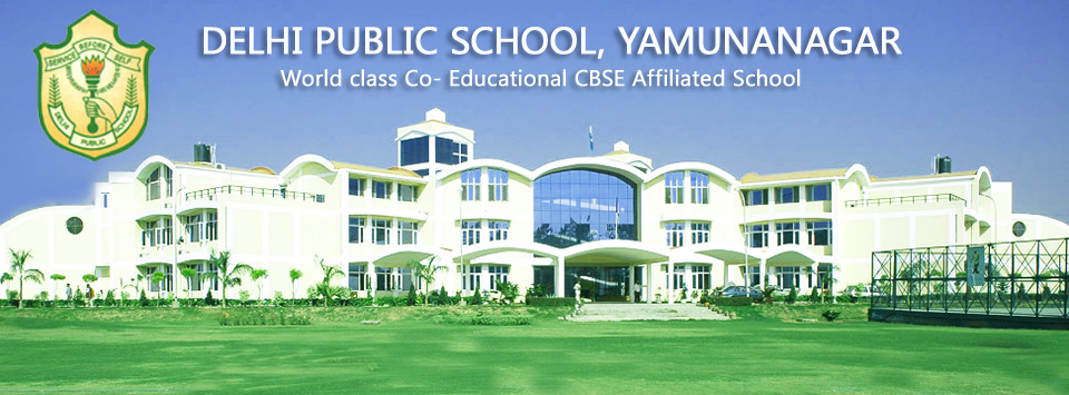 DELHI PUBLIC SCHOOL | DPS | BEST SCHOOL IN INDIA | TOP TEN SCHOOLS