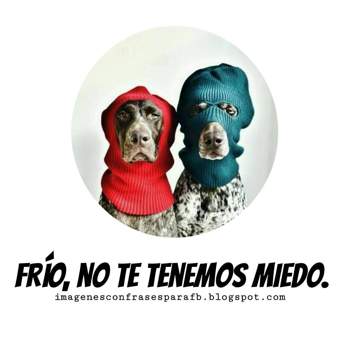 Imagenes Bonitas y Pensamientos Positivos: Imagenes del Frio