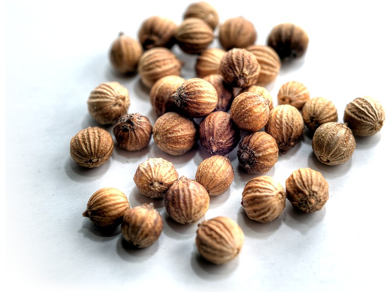 Cómo conseguir tus propias semillas de cilantro