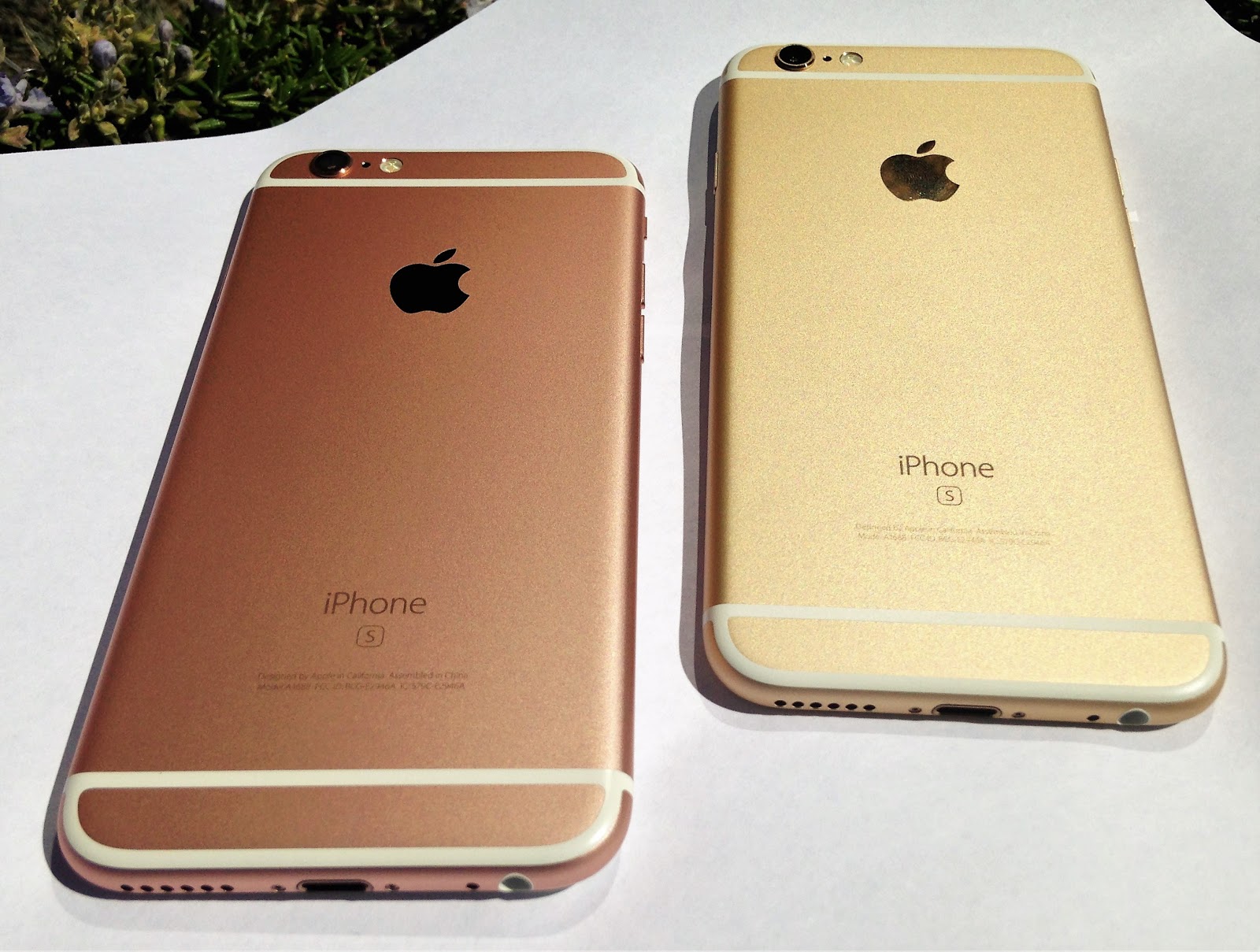Pedram Pourmand: iPhone 6s gold vs rose gold