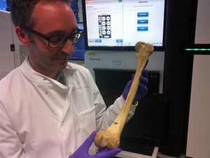 Arquivos do Insólito: Ufologia, Criptozoologia, Fenômenos Anômalos: Em ...