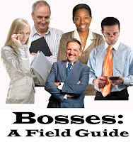 13 Types of Bosses and How To Impress Them - Radio Bejad