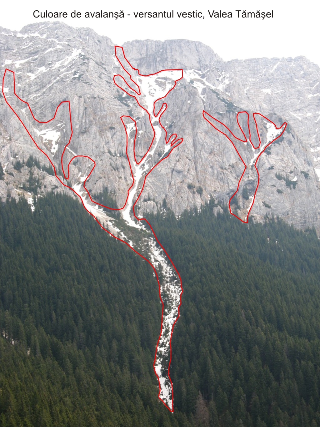 Masivul Piatra Craiului: Avalanşele