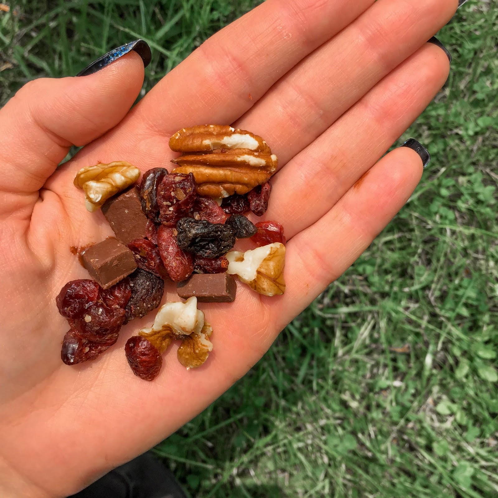 Power Up Snacks from Gourmet Nut - Lizzandco_