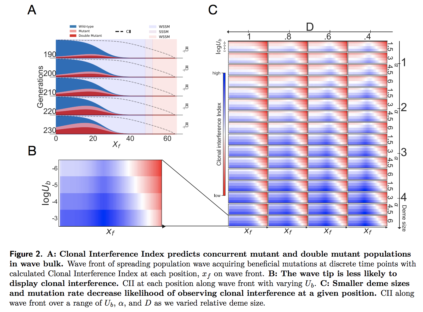 Connecting the Dots: Range expansion shifts clonal interference ...