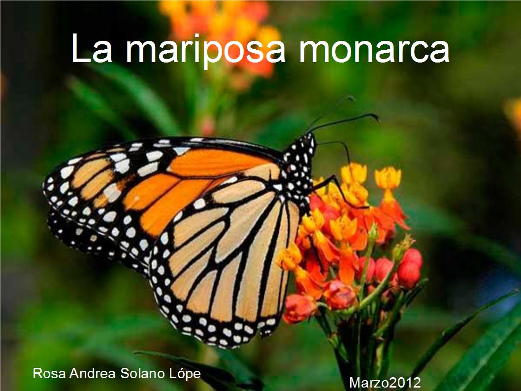 Tecnología Educativa