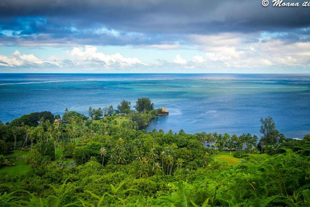 HARRISON SMITH Papeari | Moana iti Tahiti