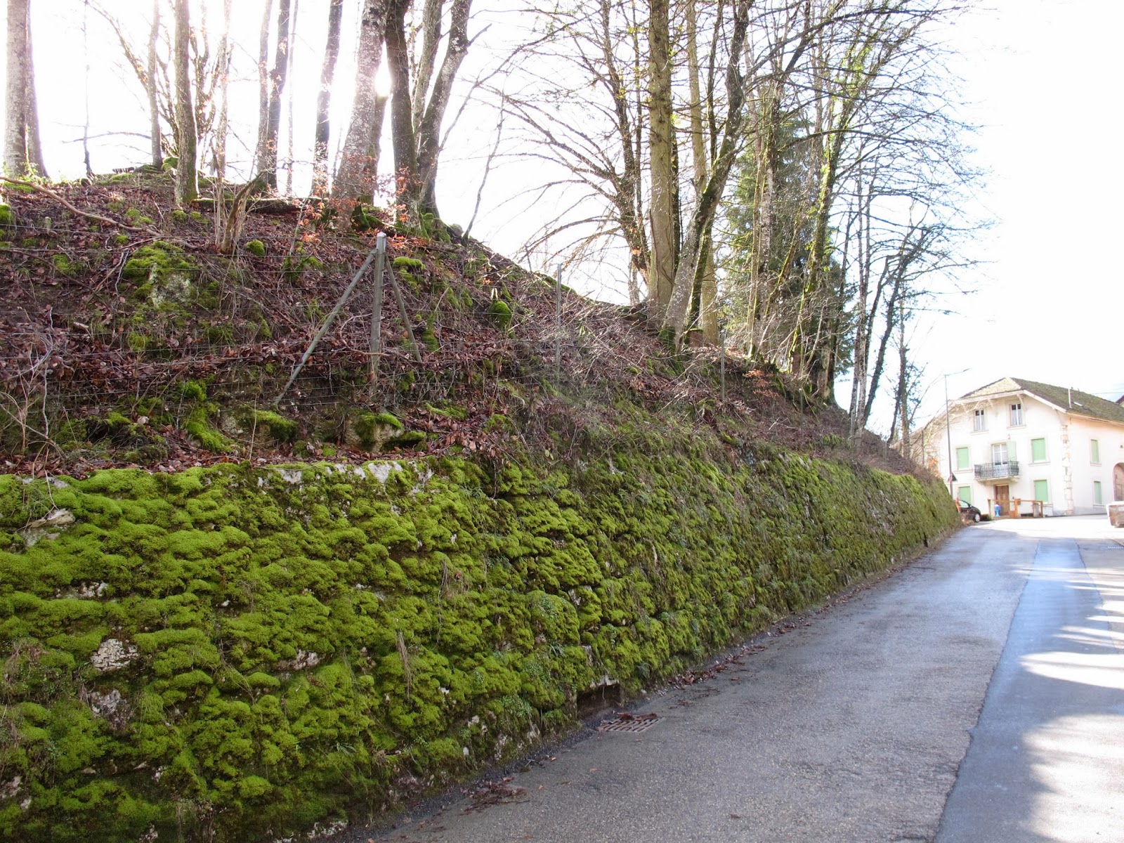 Histoire et histoires d'Arnex sur Orbe: Le château de la Mothe