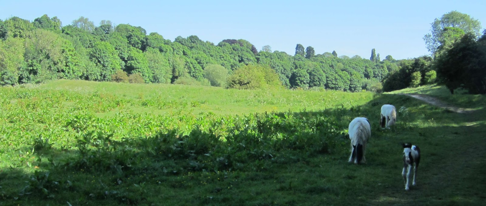 Walking The Peak: Steetley Quarry