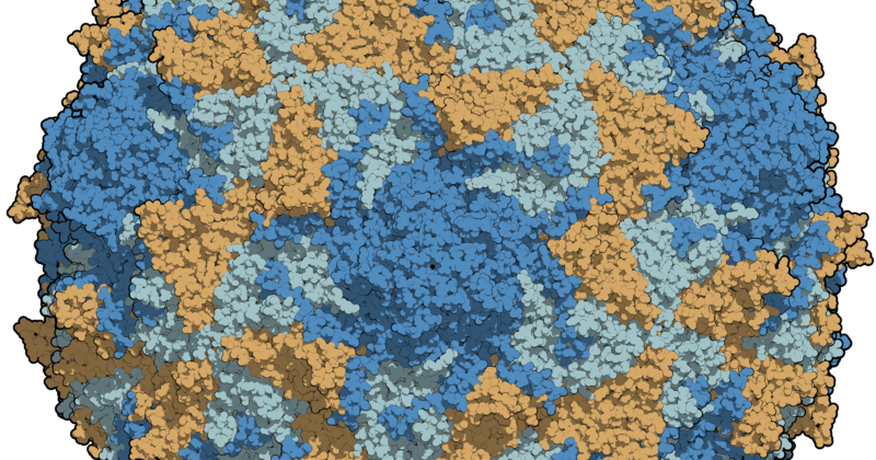 Neuro-Oncology: Isabel Morgan, La Lucha Contra La Polio