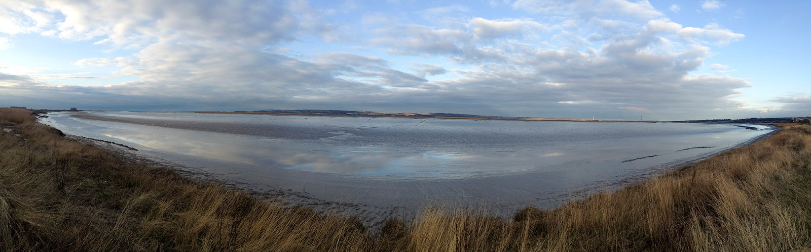 pewit: Read's Island panorama