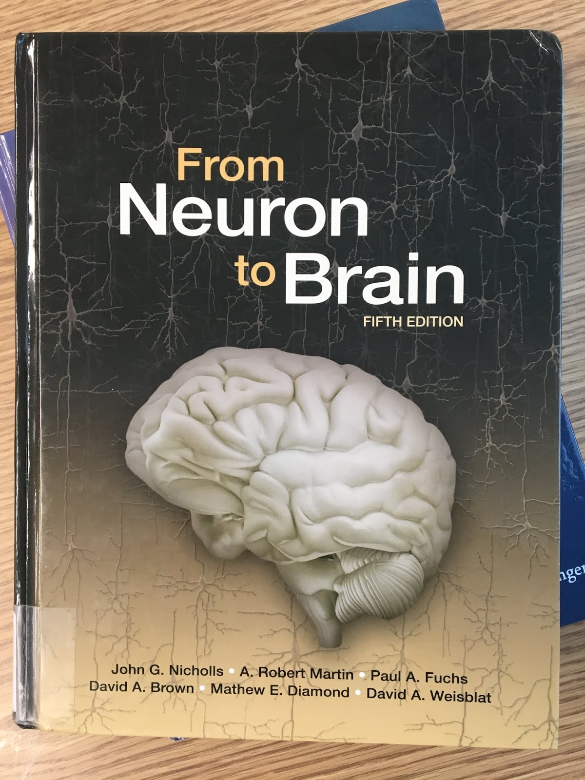 Intermediate Physics for Medicine and Biology: From Neuron to Brain