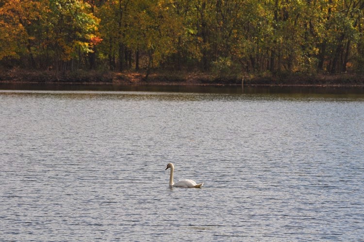 Harriman Hiker: Harriman State Park and Beyond: Lake Henry, Continental ...