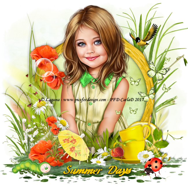 Carla's PSP Creaties: Summer Days...