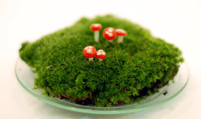 the Garden of Leah: Glass Fungi