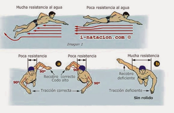 ESPAÑOL 2011 - 2015: Estilo Crol: nado ok largo