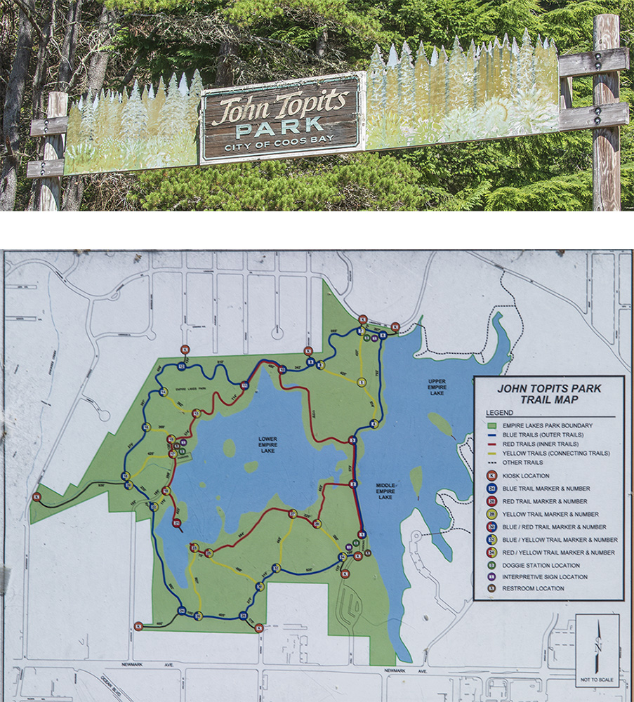 Merikay's Dream : Walking in John Topits Park in Coos Bay Oregon