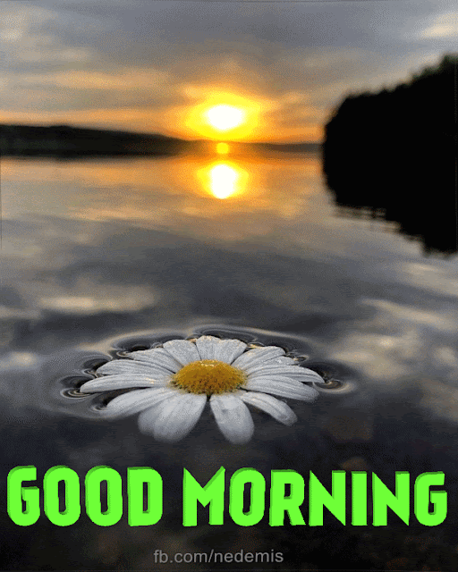 Good Morning Gif Message