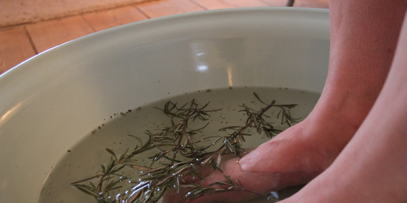 BAD TIL HJERNE OG FØDDER – HAVEFOLKET