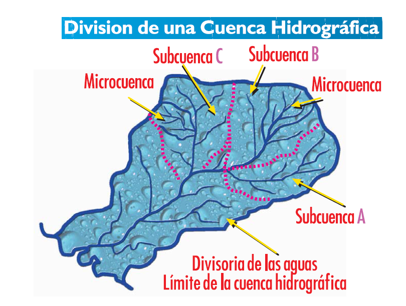 Estrategias de Enseñanza Innovadoras para el Ejercicio de Valores Ambientales: Enfoque de ...