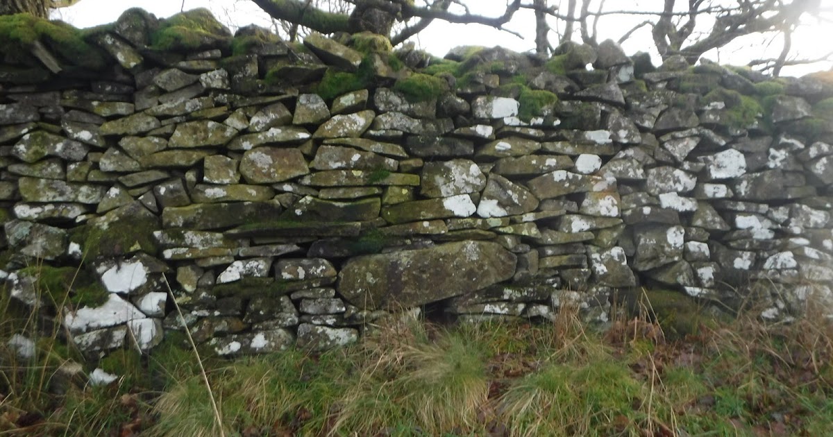 Smoot Holes and rabbit pie