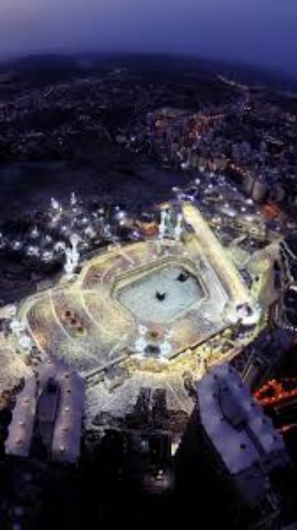 Macca Wallpaper HD - Wallpaper Box