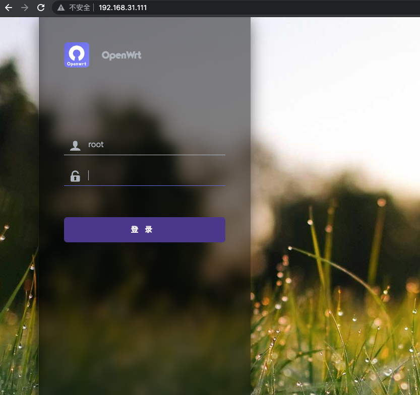 docker 安装 openwrt 并实现科学上网详细步骤