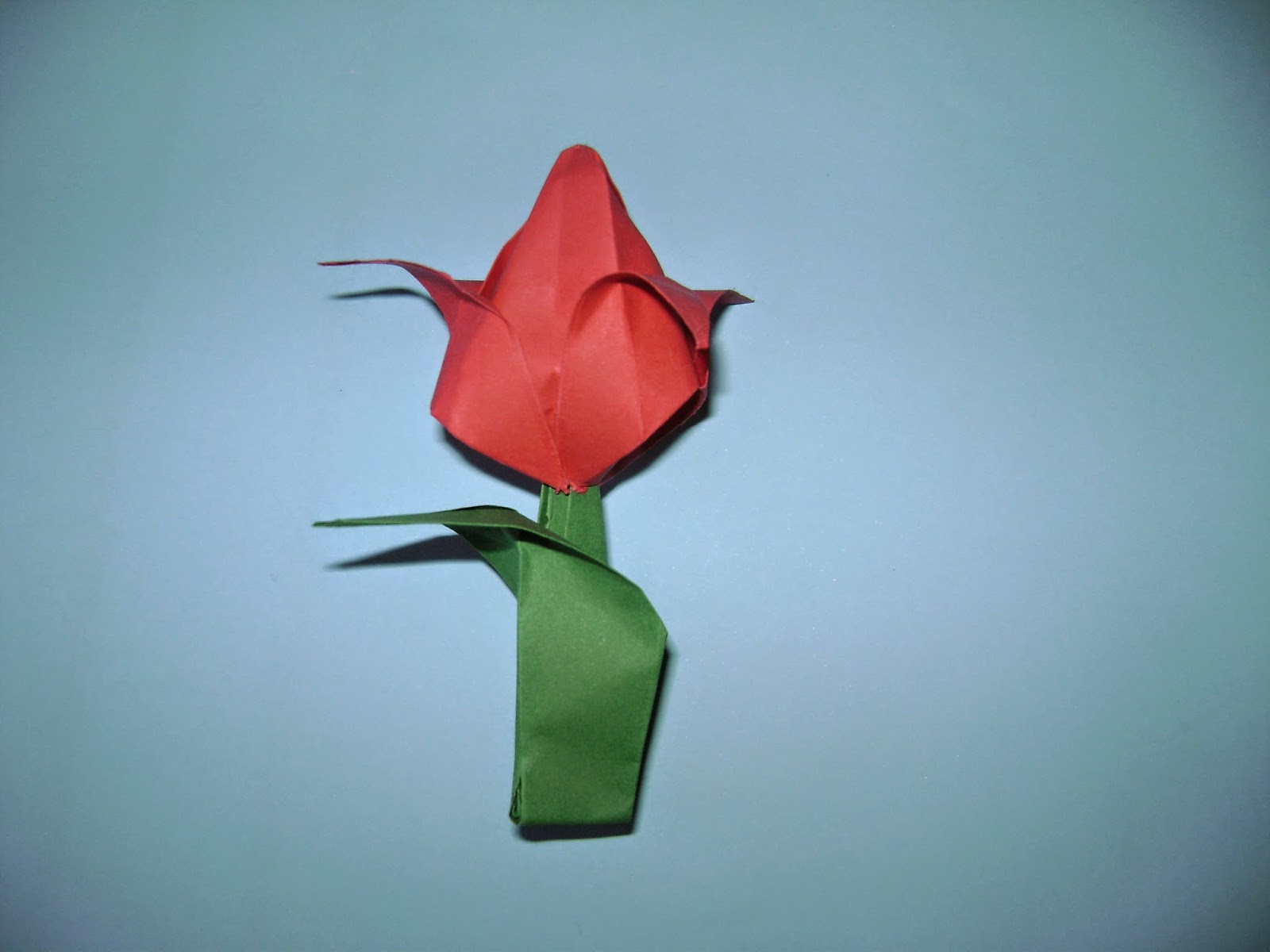 Lumea lui Scolarel...: Lalea (origami)